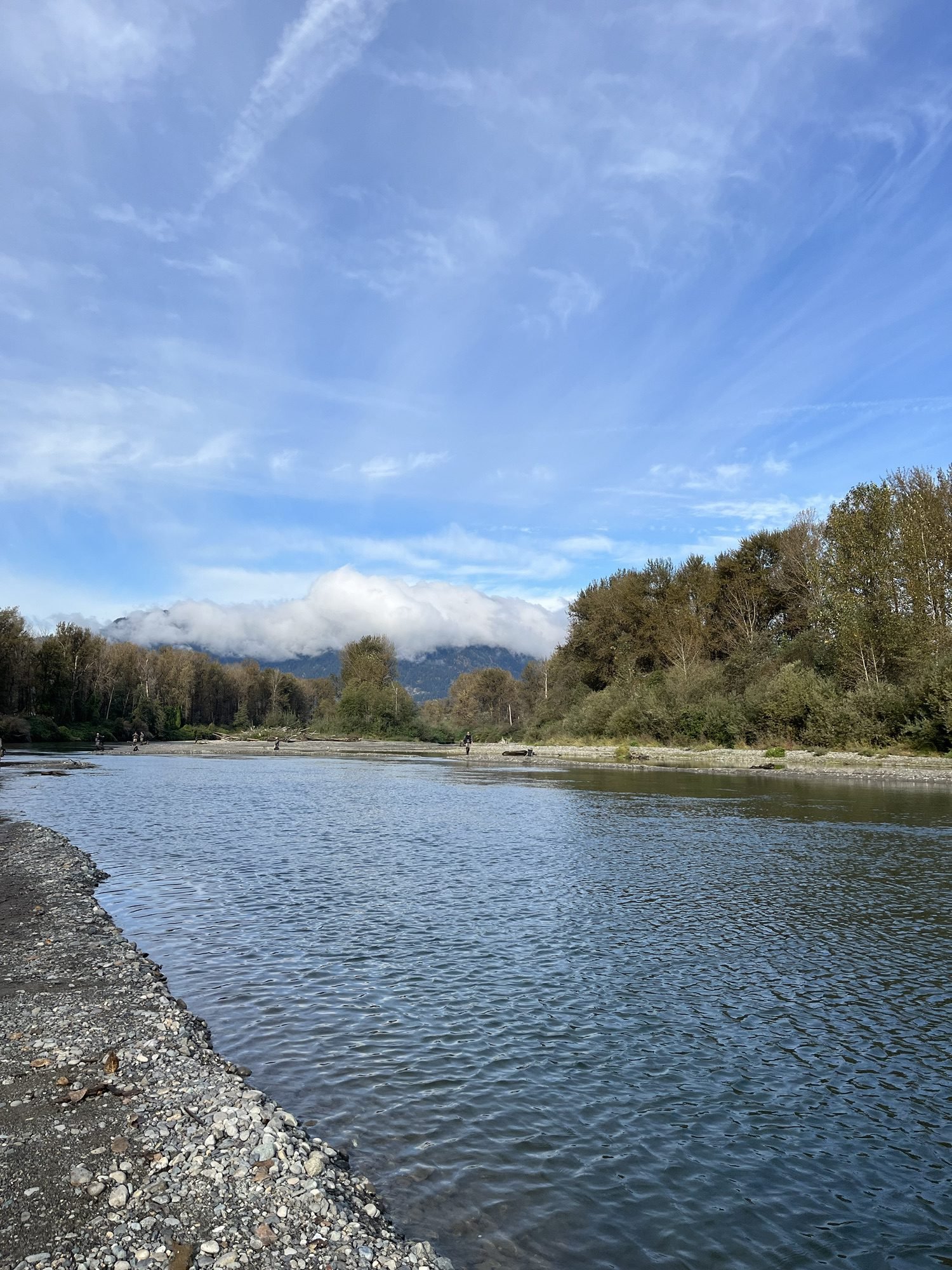 Vedder River Fishing Now: An Exclusive Guide For Fall 2025